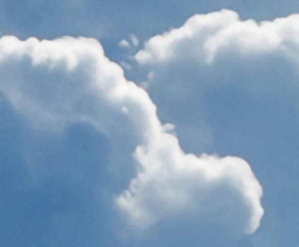 Cloud Nine | Lumicor