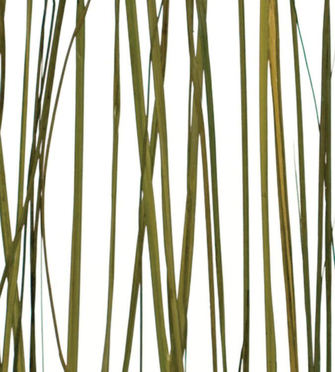 Resin Decor | Decorative Acrylic Sheets | Lumicor