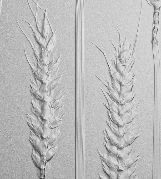 Embossed Wall Panels | Designer Resin Panels | Lumicor