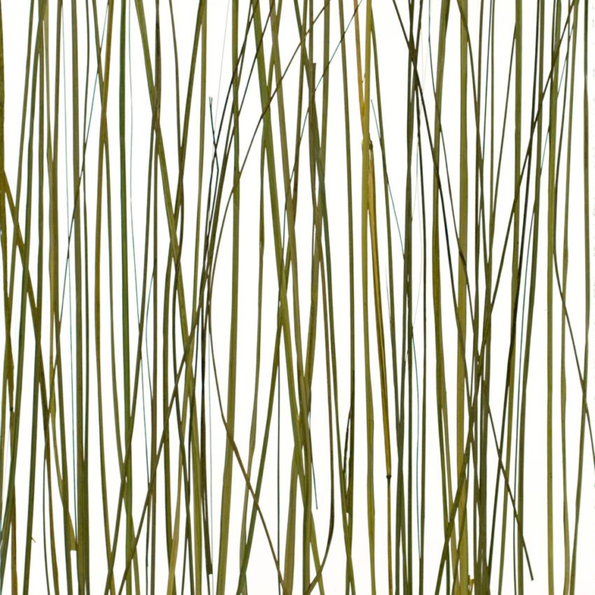 Wall Protection Sheets and Panels | Lumicor